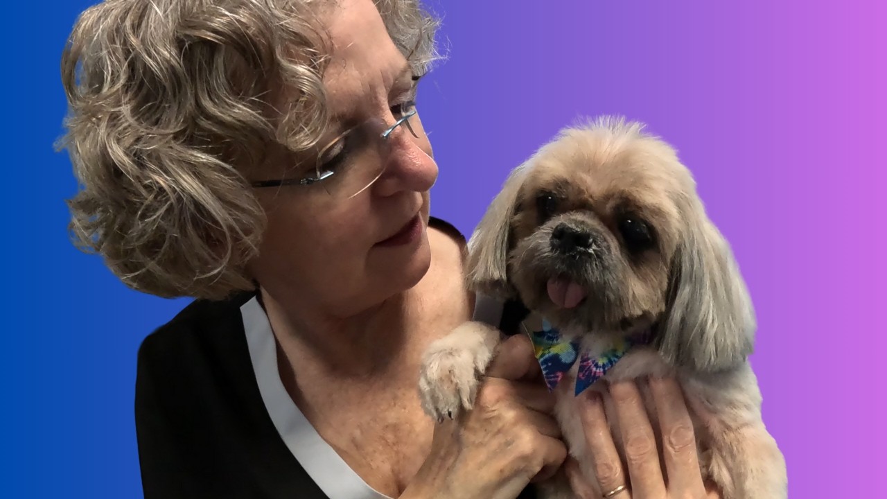 Grooming This Sweet Jawless Dog | Shih Tzu | Snooks - YouTube