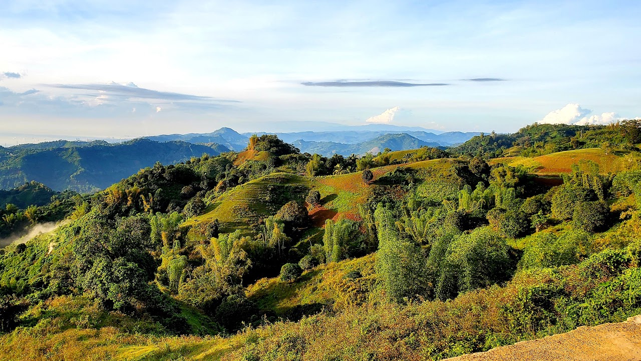 Sir Chan's TLE Tambayan Live Stream - YouTube