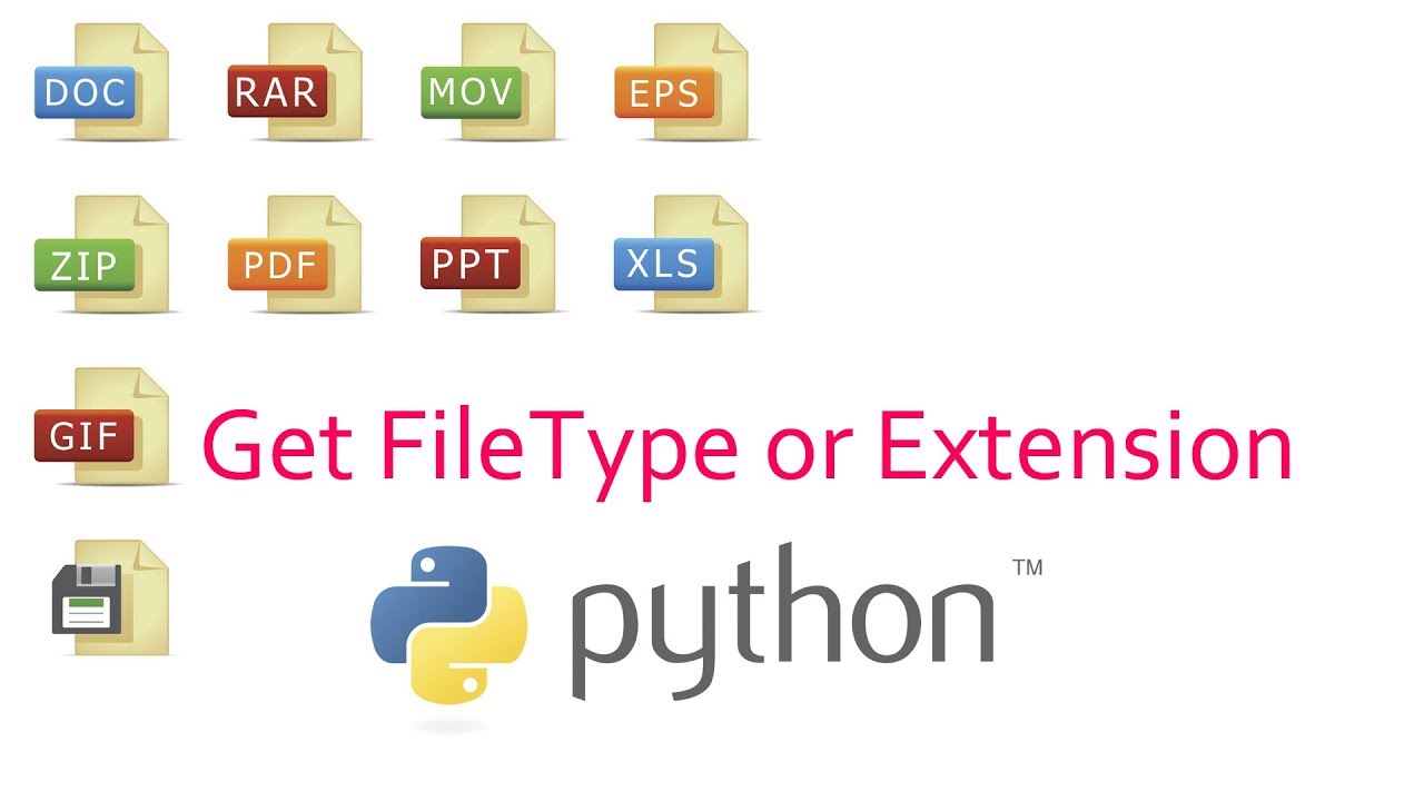 Solved How To Check The File Type In A Script 9to5Answer Solved How To Check The File Type In A Script 9to5Answer