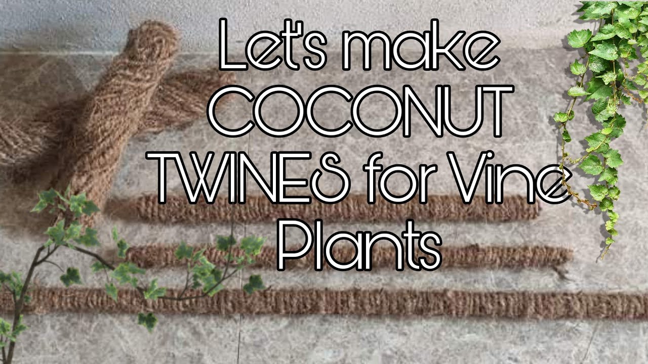 HOW TO MAKE COCO TWINES for VINE PLANTS? #diy #plantita - YouTube
