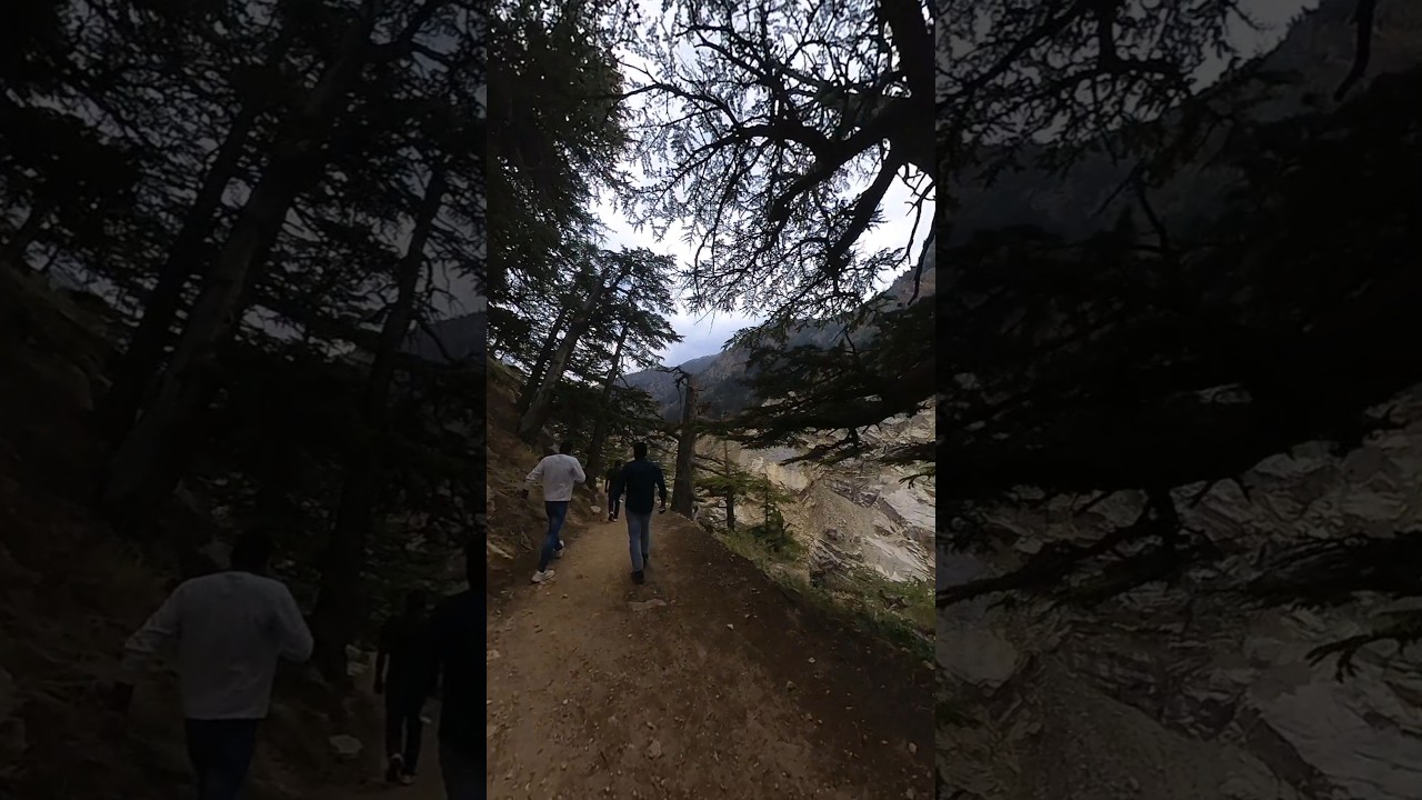 GARTANGALI TREK UTTARKASHI | Trekking Experience #adventuretime #funk # ...