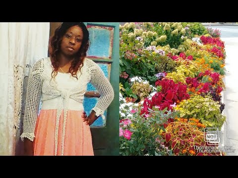 Gully Bop watch this video - YouTube