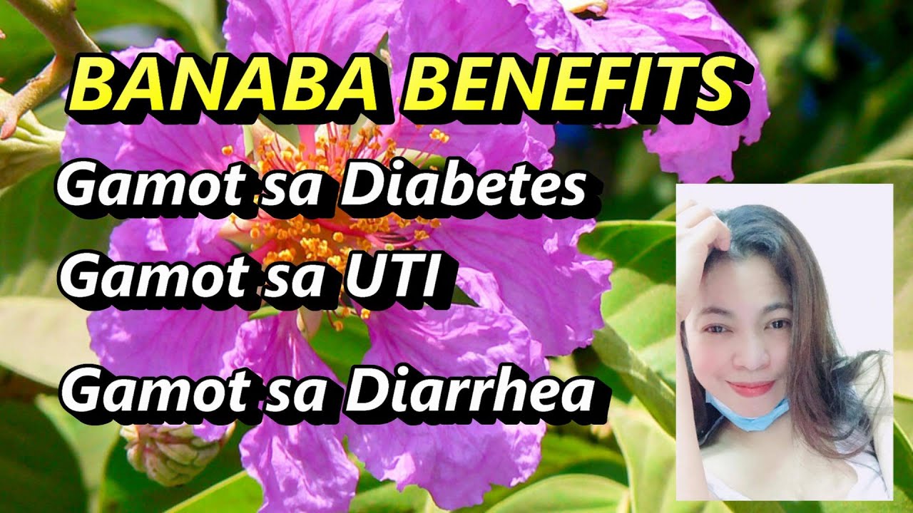 MGA BENEPISYO NG HALAMAN GAMOT NA BANABA - YouTube