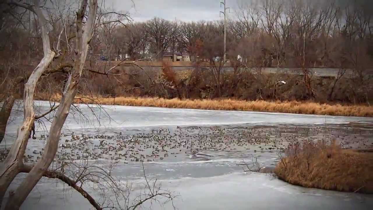 Occupy Locke Lake 2 - YouTube