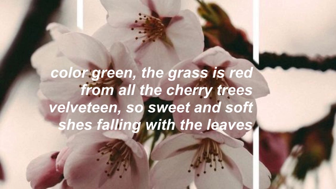 New Politics - Color Green Lyrics - YouTube