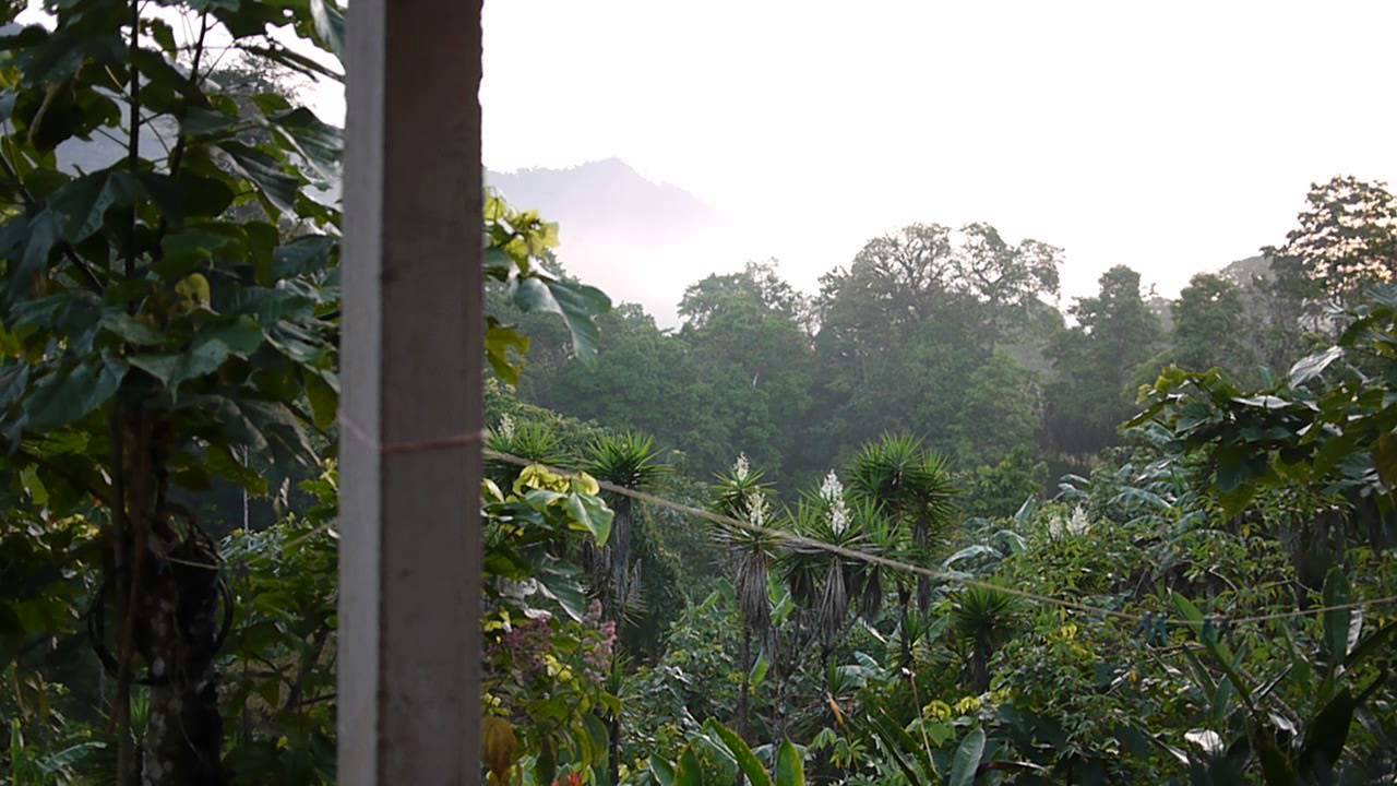 San Luis de Morete Morning - YouTube
