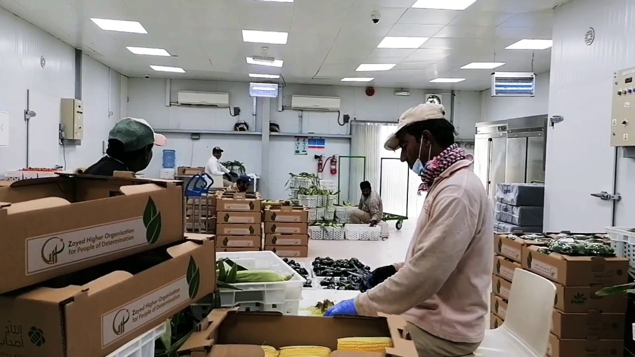 Mga kaganapan sa loob ng repacking area - YouTube