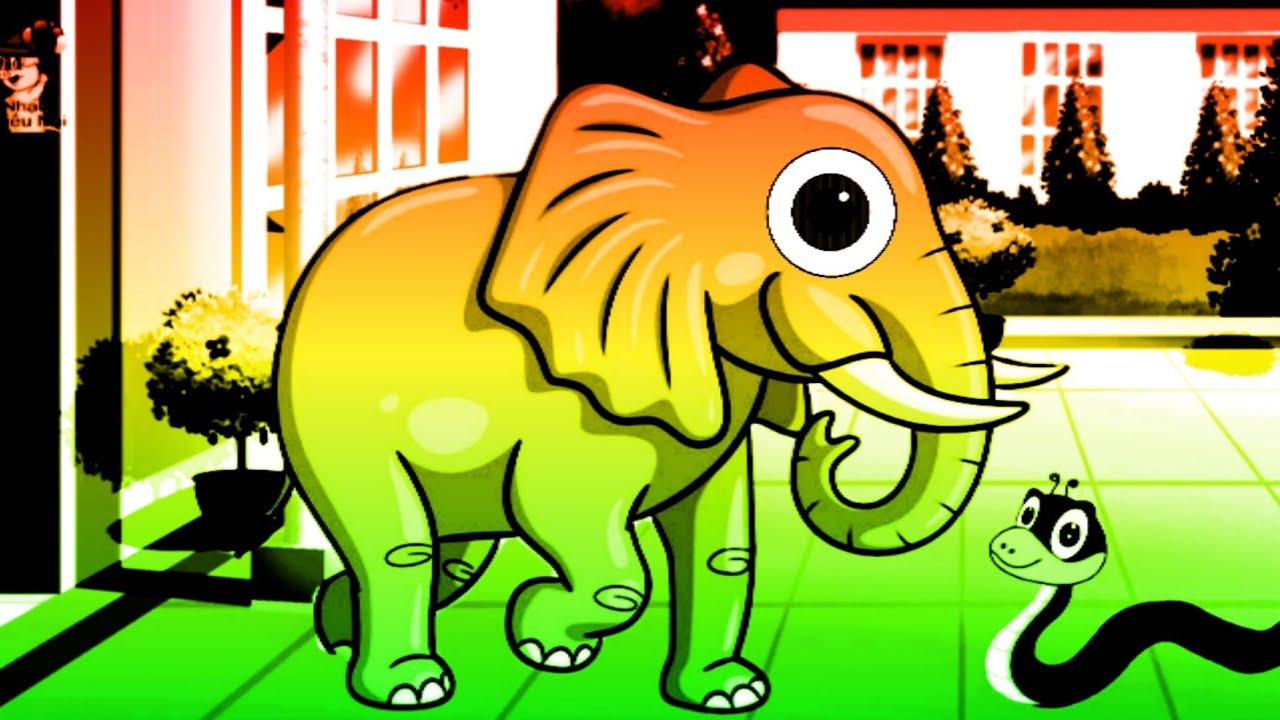 BIG REGGAE ELEPHANT AND SNAKE FRIEND - YouTube