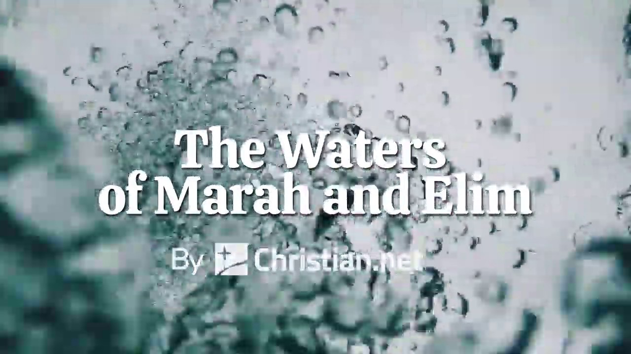Exodus 15: The Waters of Marah and Elim | Bible Stories - YouTube