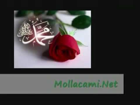 Tıklanma rekoru kıran video