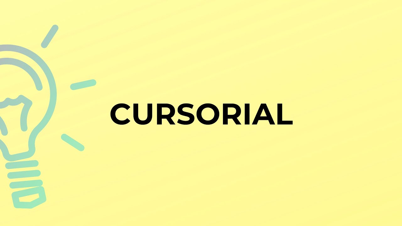 What is the meaning of the word CURSORIAL? - YouTube