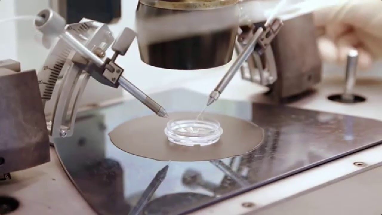 IVF Overview with Animations from a Top Los Angeles Fertility Center ...