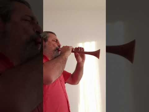 fikrimden geceler yatabilmirem zurna ile bu kadarmi güzel çalınır