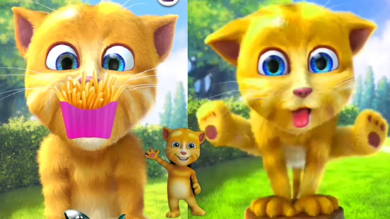 talking ginger ca funny videos 🌶️🍉🍕🍓 ll Game ll - YouTube