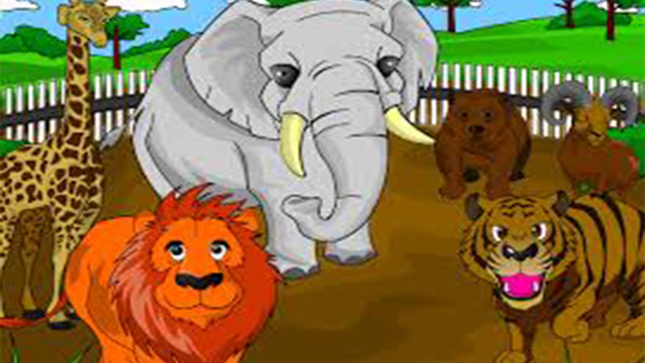 Learn About The Animals - Zoo Animals - Animal Video for Toddlers ...