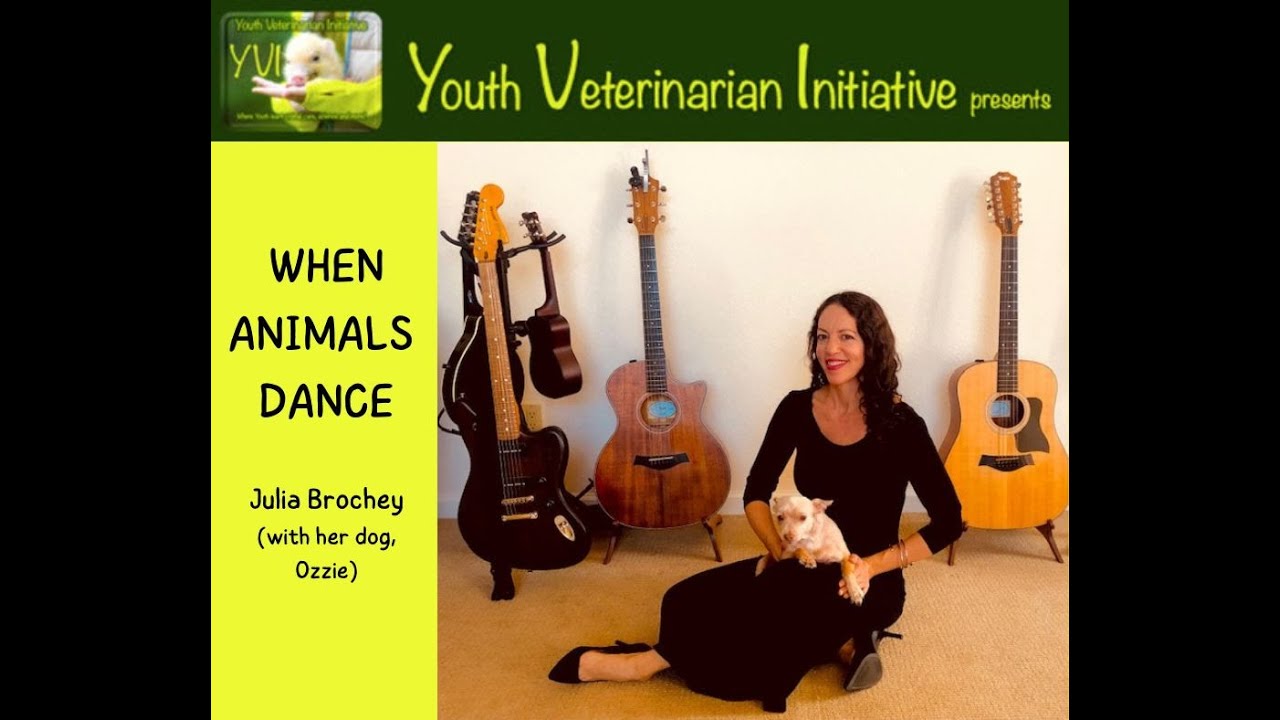 YVI with Julia Brochey - When Animals Dance - YouTube