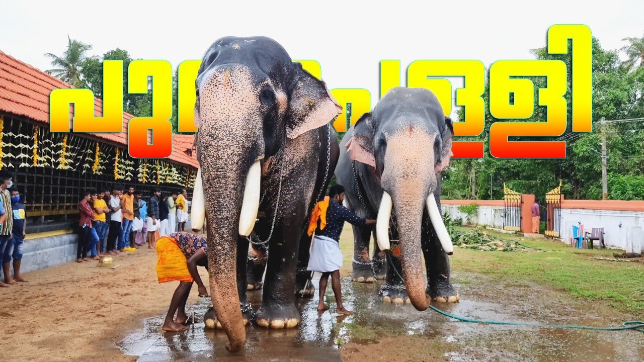 Puthuppally Brothers | Puthuppally Sadhu | Puthuppally Kesavan ...