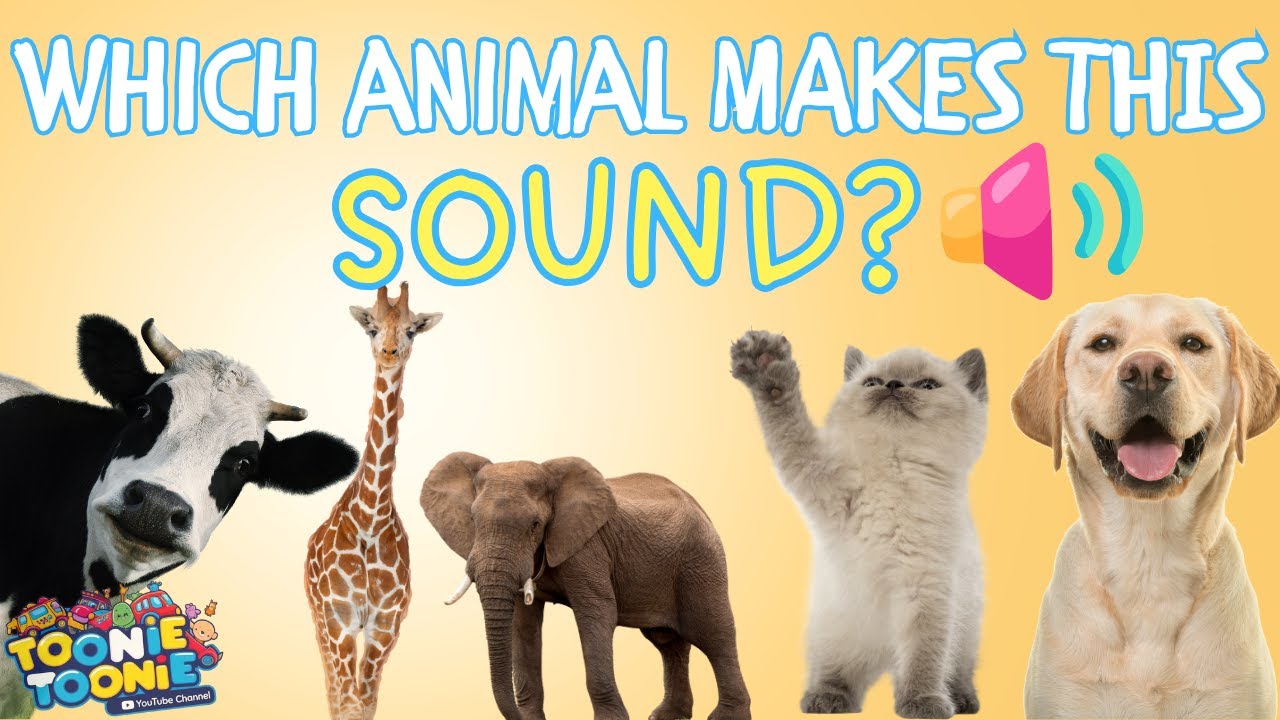 What Animal Makes This Sound? 🔊 Guess the Animals | Animals for Kids ...