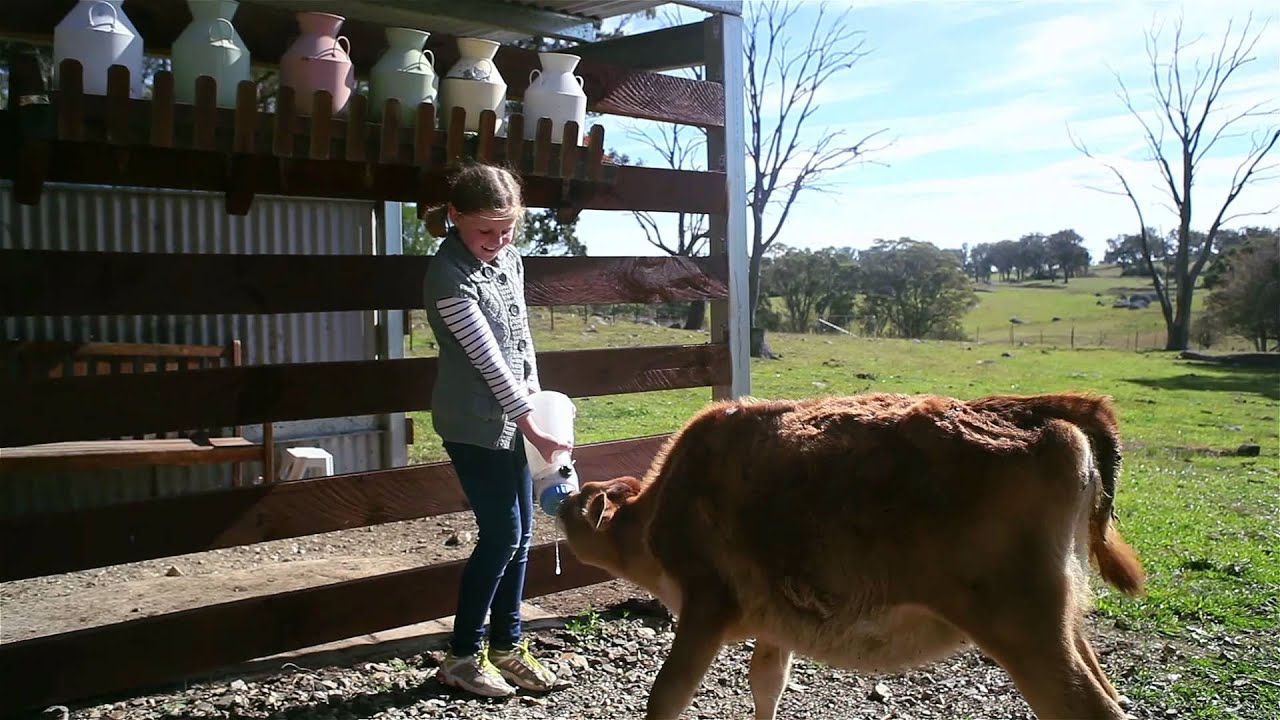 Winter moments in Glen Innes - YouTube