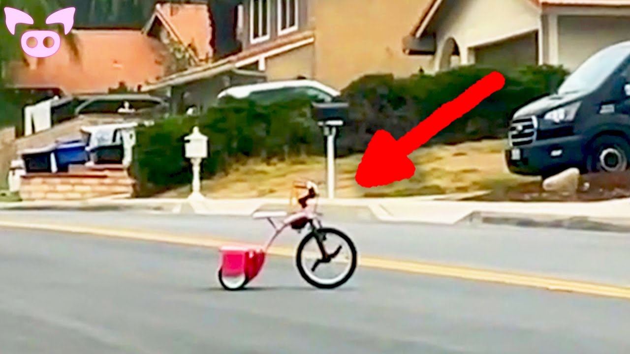 You Won't Believe These Freaky Things Caught on Camera - YouTube
