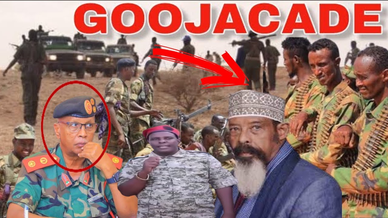 Daawo Rasas Toos Ka Socoto Goojacade, Dagaal Lagu Hoobtay & Meydadki ...