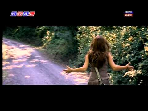 nilüfer-olmadı gitti