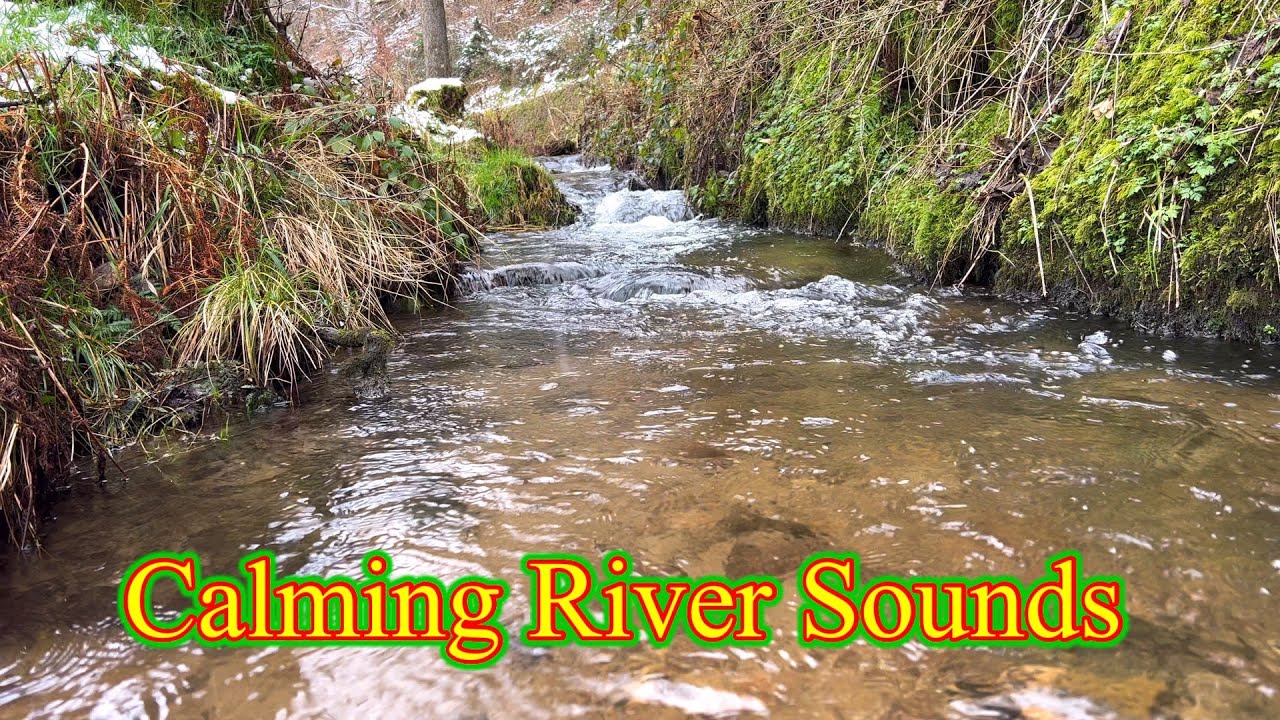 Relaxing Nature Sound,Calming River Sounds - YouTube