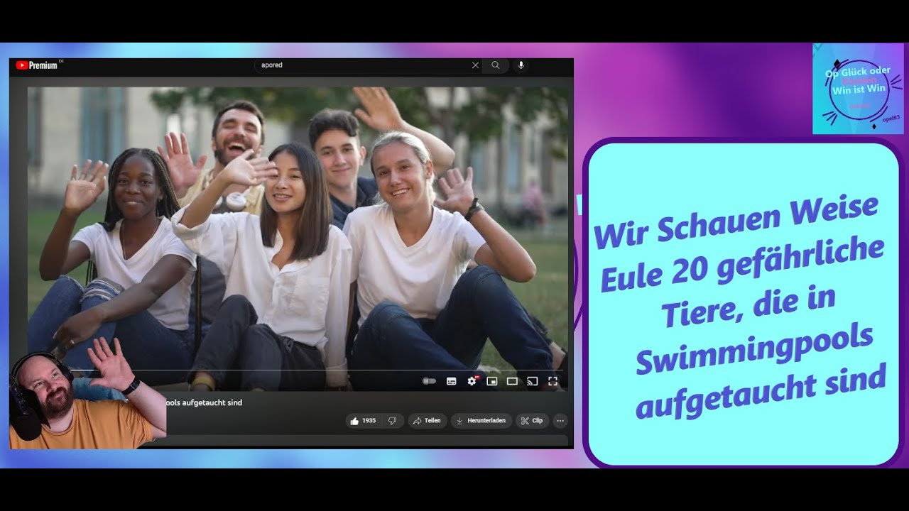 Wir Schauen Weise Eule 20 gefährliche Tiere, die in Swimmingpools aufgetaucht sind - YouTube