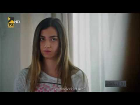 Boydan boya cart diye