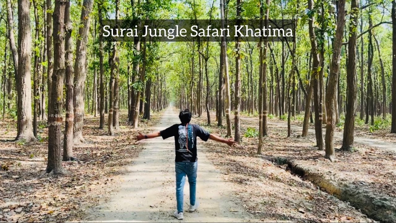 Surai Range Khatima Jungle Safari 🐅 | Easa Bhayanak Jungle Apne Pass ...