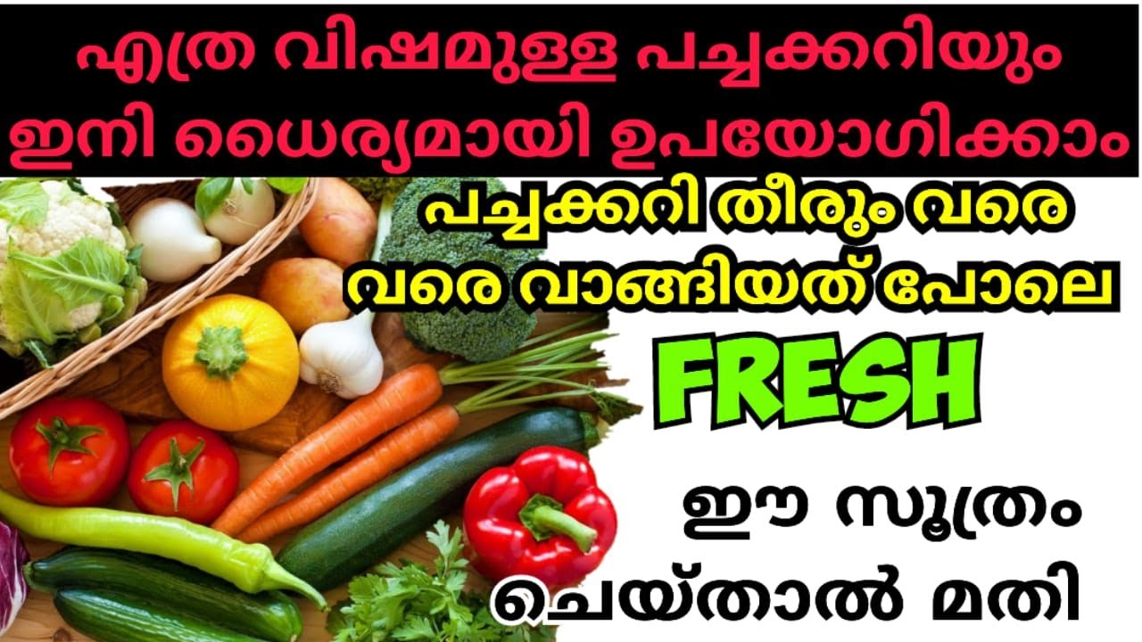 keep vegetables fresh for long.. | vegetable storage tips|how to store ...