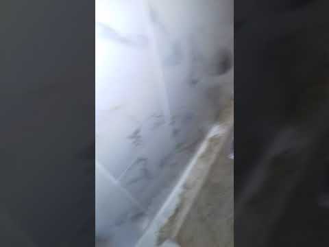 Uyuyan insana işkence