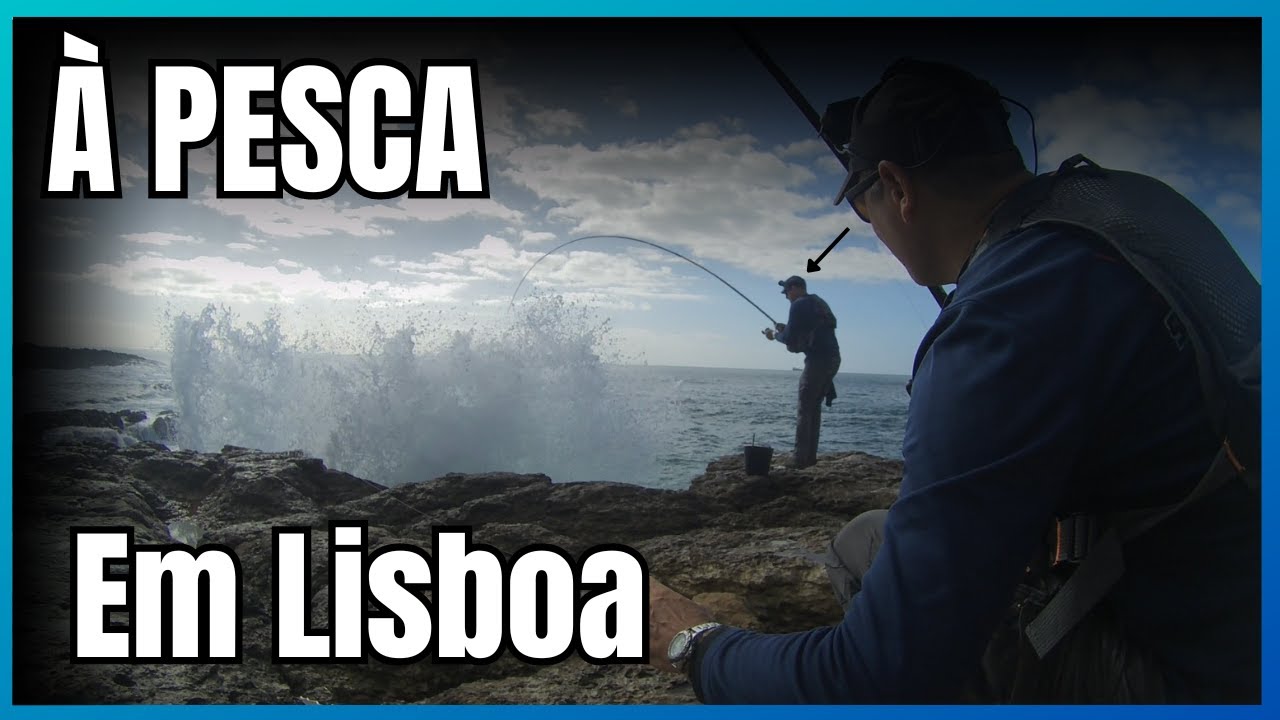 À pesca em Lisboa, Pesca em Portugal - YouTube