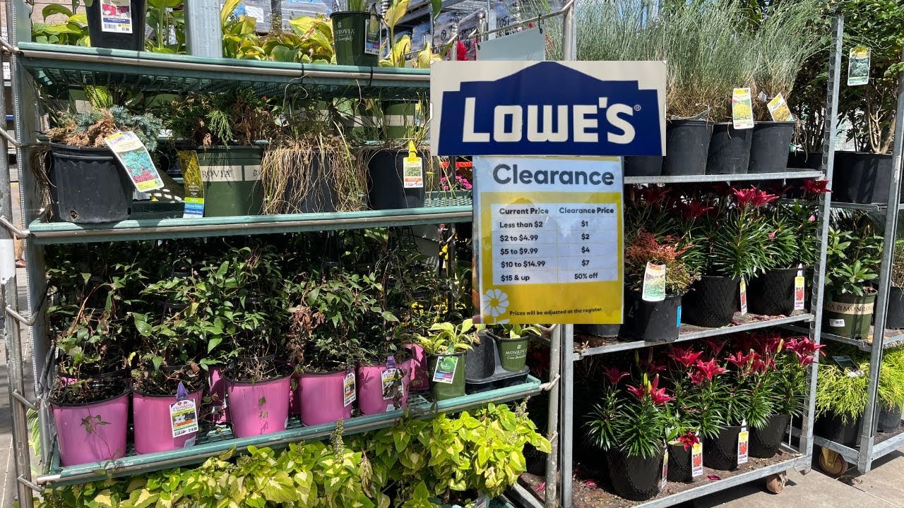 NEW Arrivals and CLEARANCE Plants at Lowes Garden Center - YouTube