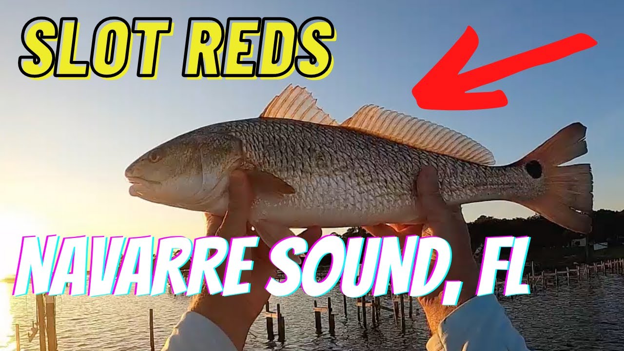 Fishing for Slot Redfish 🎣 - YouTube