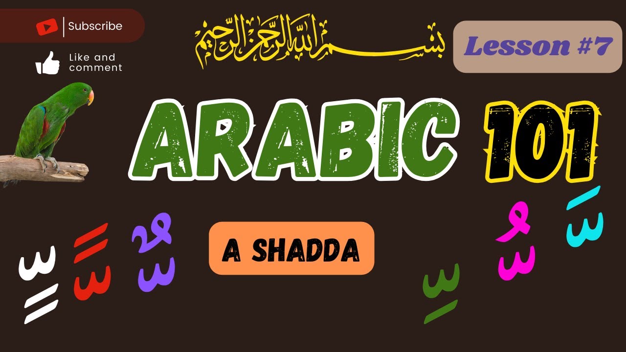 How to Master Shadda in Arabic: A Complete Guide - YouTube