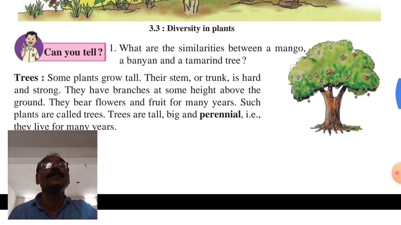 Diversity in the living things and their classification 6th - YouTube