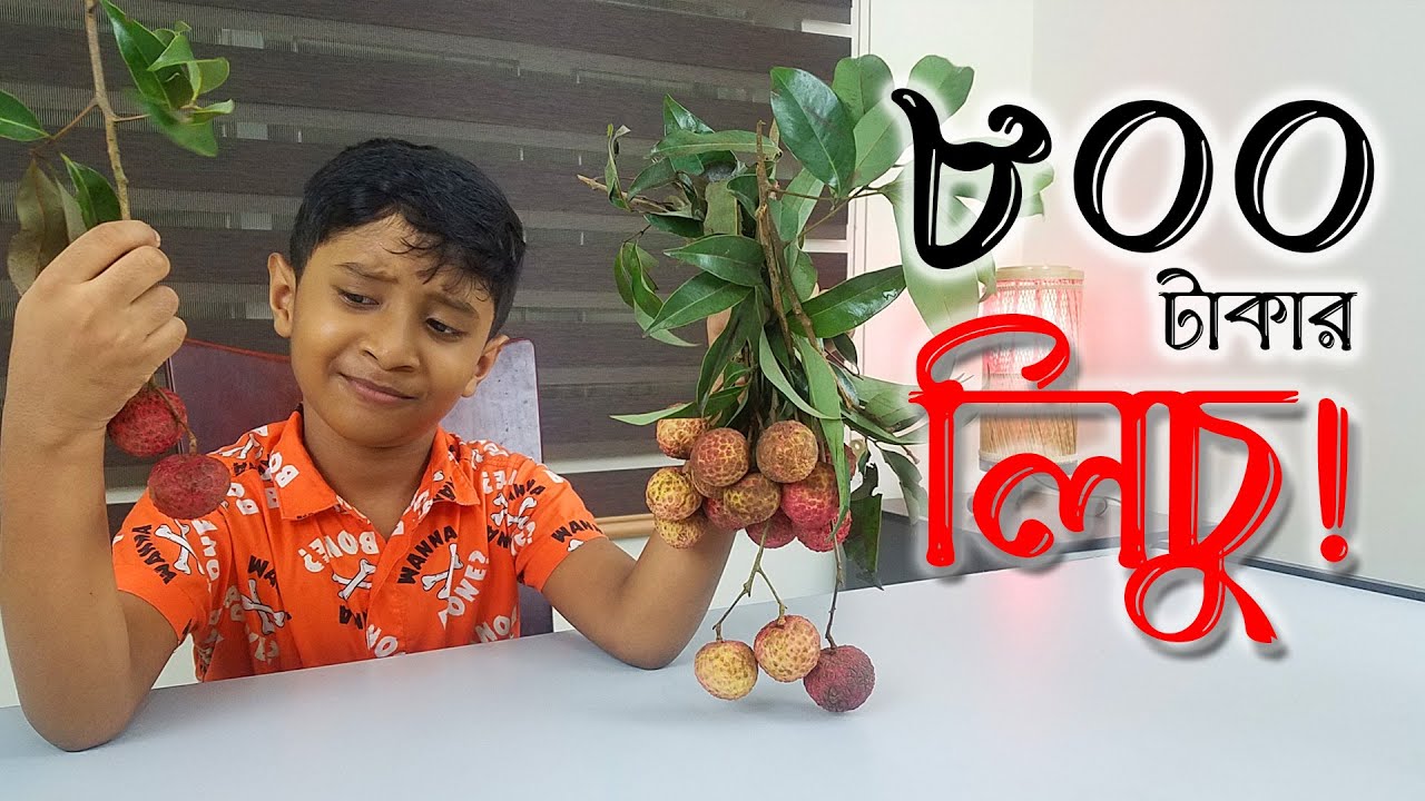 জীবনের প্রথম অভিজ্ঞতা | চায়না থ্রি লিচু | Chaina 3 Lichu | Sayem's ...