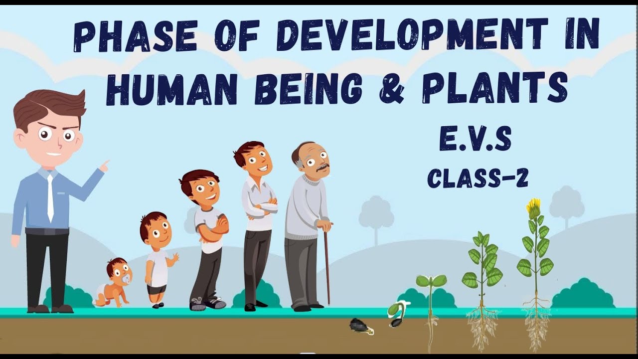 E.V.S | CLASS-2|GROW UP |DIFFERENT STAGES OF DEVELOPMENT IN HUMAN BEING ...