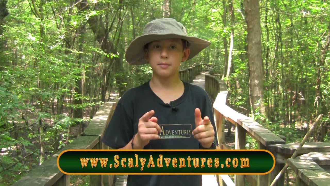 Pierce Curren's Early Scaly Adventures Welcome Video! - YouTube