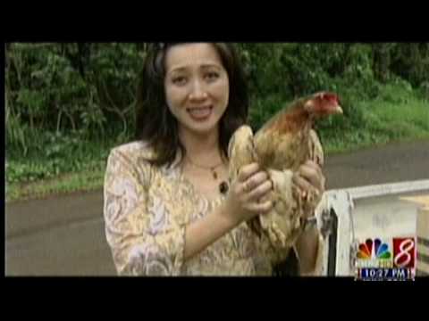 Final K5 KHNL newscasts 09-10-23 - YouTube