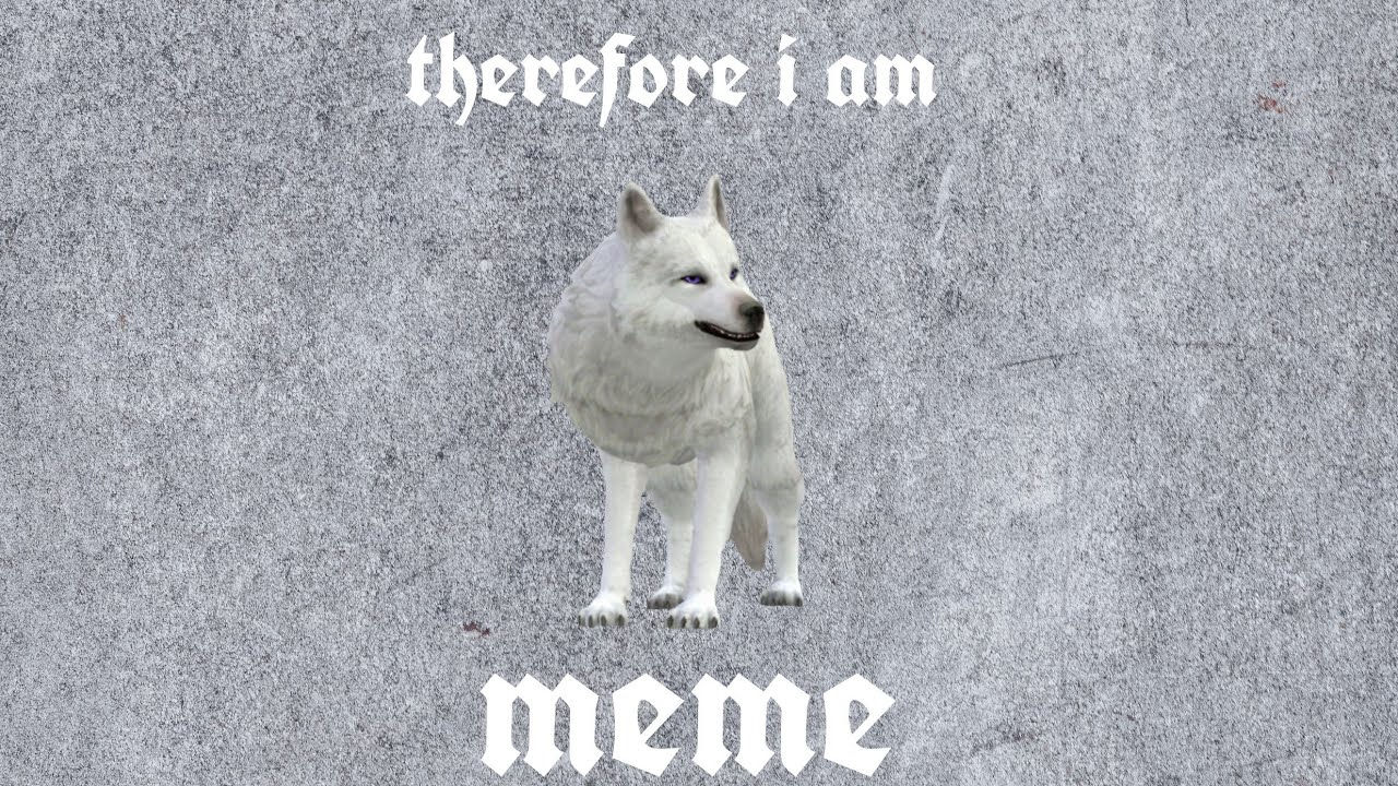 Therefore i am meme || 50 subs special - YouTube