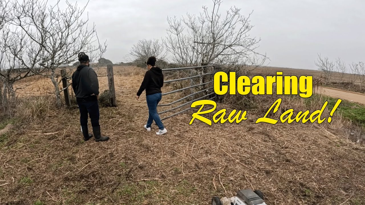 Raw Land to Off Grid Living - Clearing The Entrance Driveway - YouTube