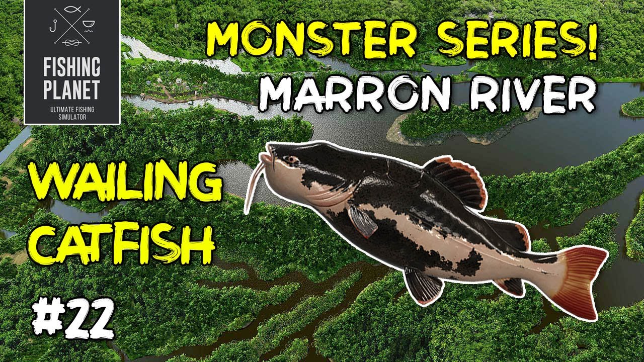 FISHING PLANET - MONSTER WAILING CATFISH | MARRON RIVER - YouTube