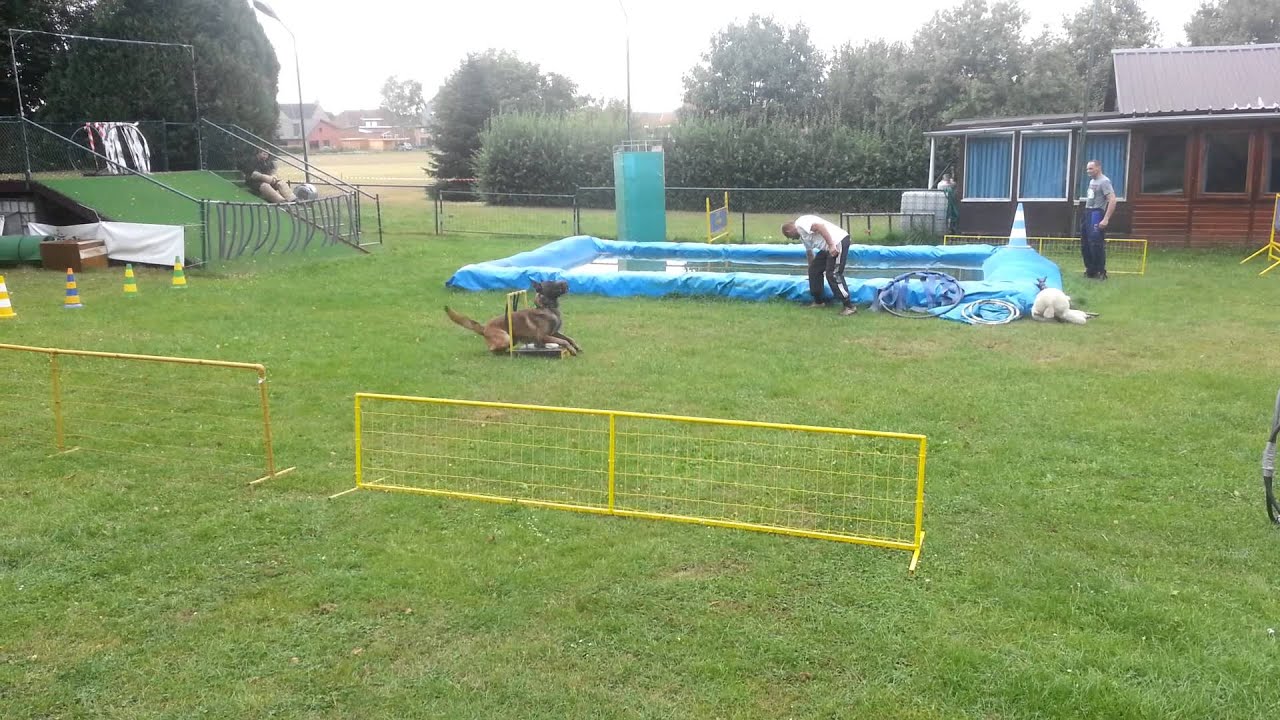 Object guard - YouTube
