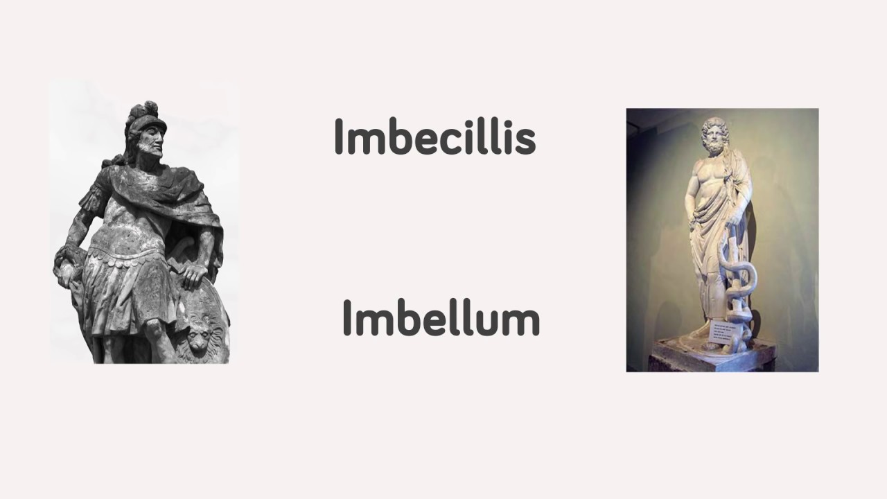 ¿Qué es un imbécil? Descubre el origen de la palabra imbécil - YouTube