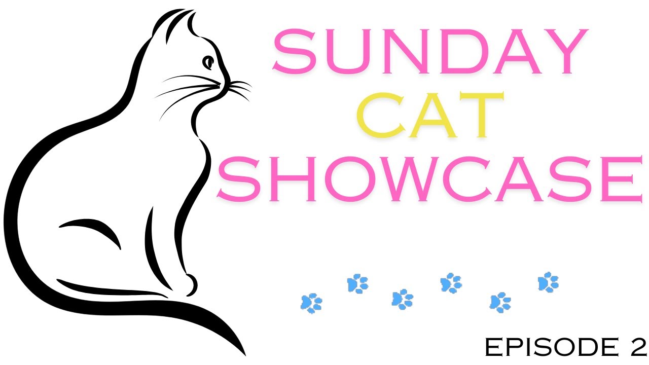 Sunday CAT Showcase Episode 2 - YouTube