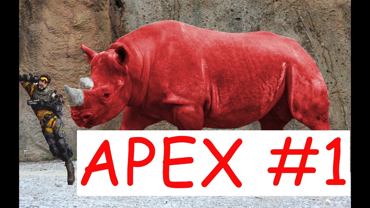 The Red Rhino Live Stream - YouTube