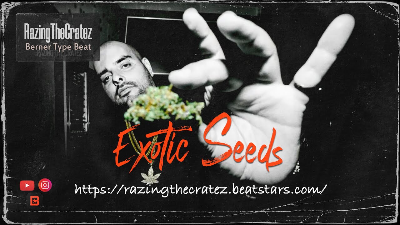 Free Berner x Mozzy Sample Type Beat 2025 “Exotic Seeds” - YouTube