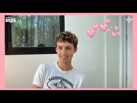 Troye Sivan describes his ideal type